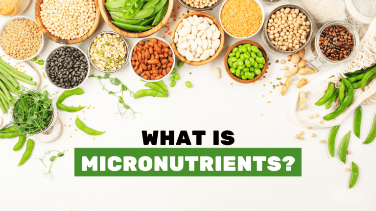 What are Micronutrients: Types, Functions, and Benefits